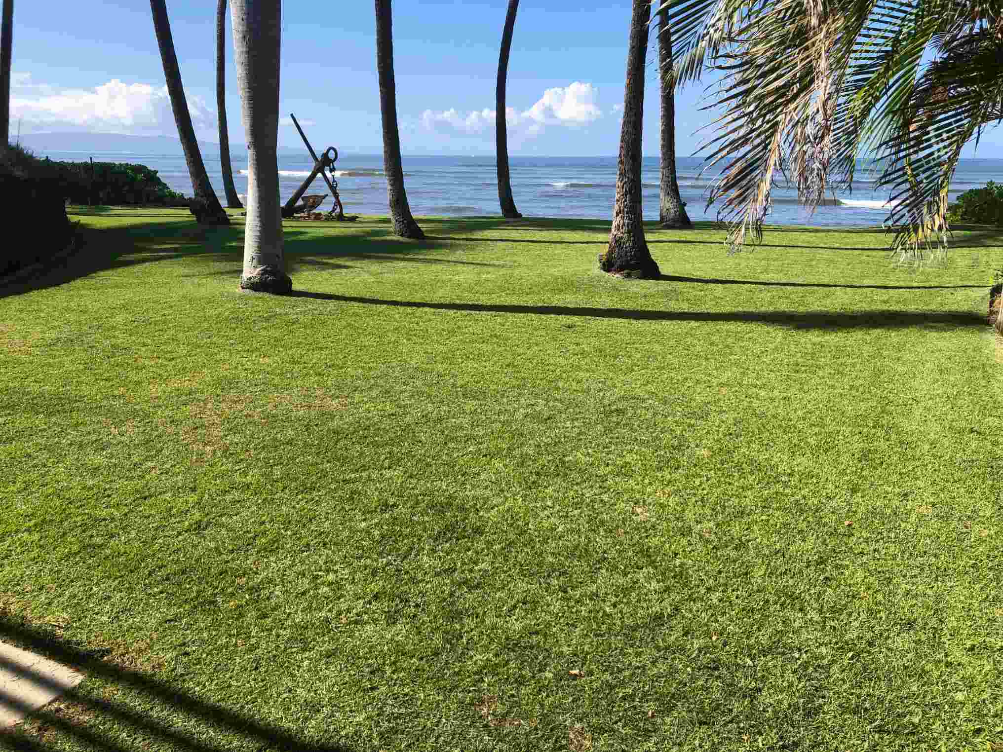 Gallery - J&J Landscaping and Maintenance