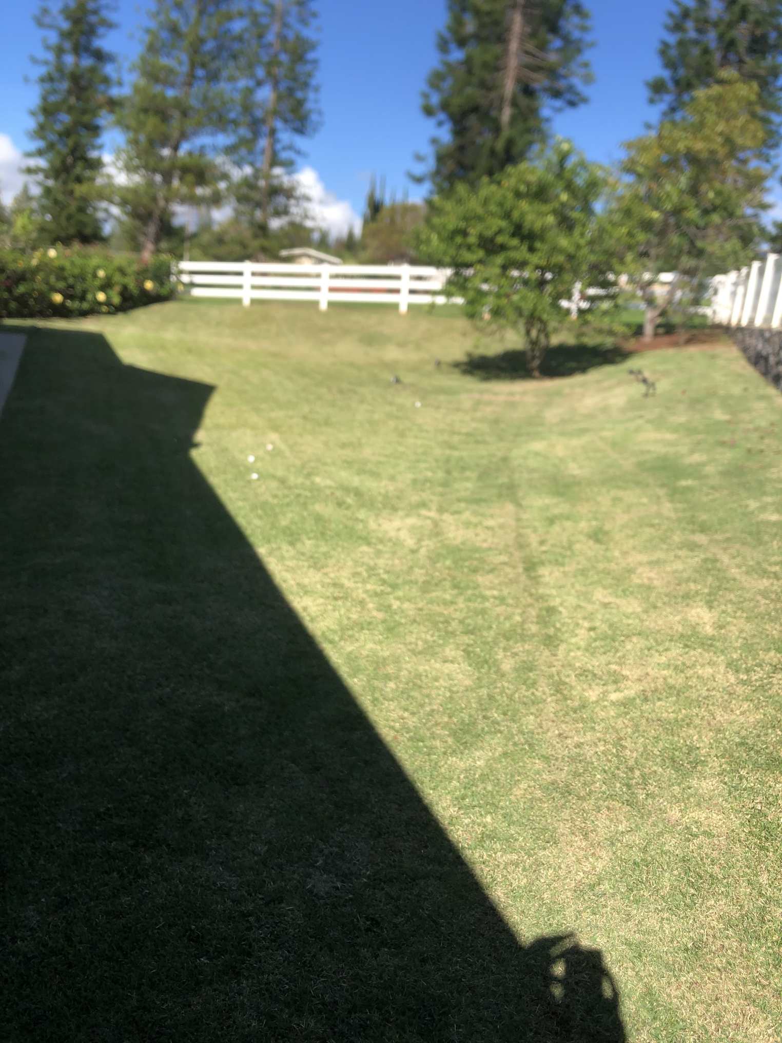 Gallery - J&J Landscaping and Maintenance